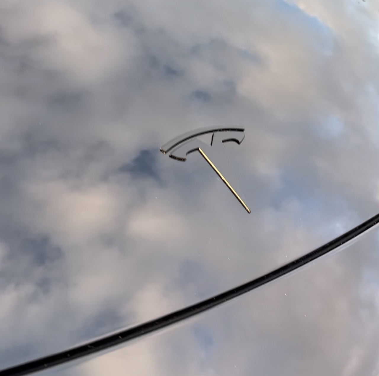 Original Front Tesla Emblem Mattschwarz – Custom Tesla